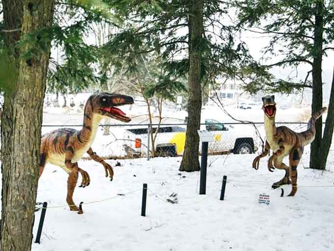 Even in winter, these prehistoric sentinels stand watch, proving dinosaurs were adaptable enough for Michigan weather.
