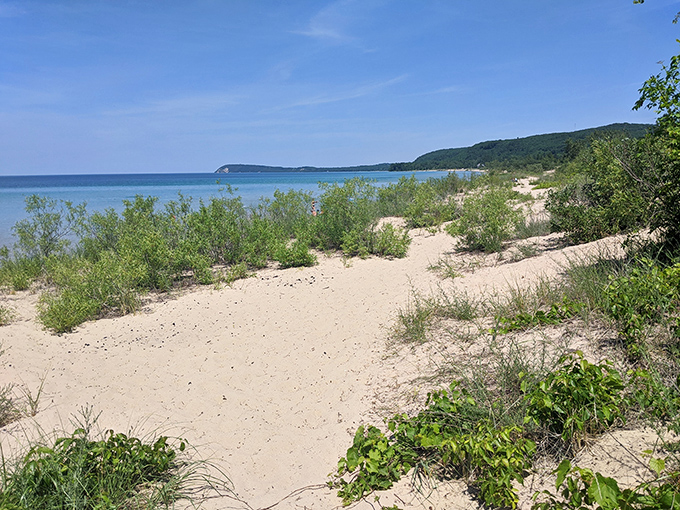 Nature reclaims its edges where dune grass meets sand, creating the perfect frame for Good Harbor's breathtaking blue panorama.
