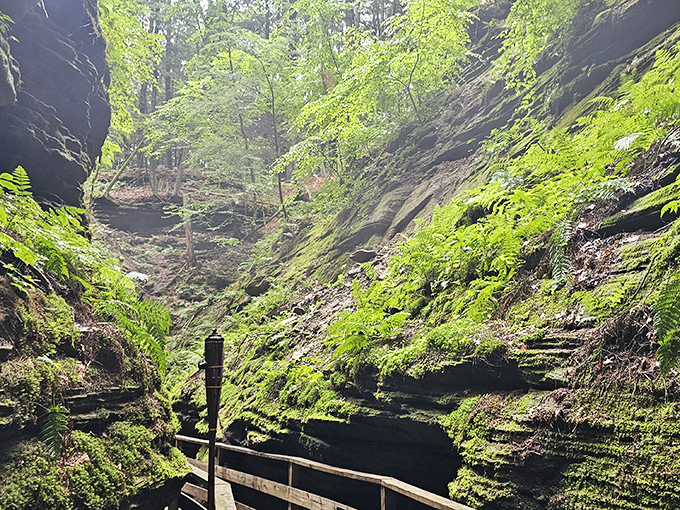 The Green Grotto showcases nature's color palette at its finest. Emerald moss contrasts with russet stone, creating a living painting that changes with the seasons.