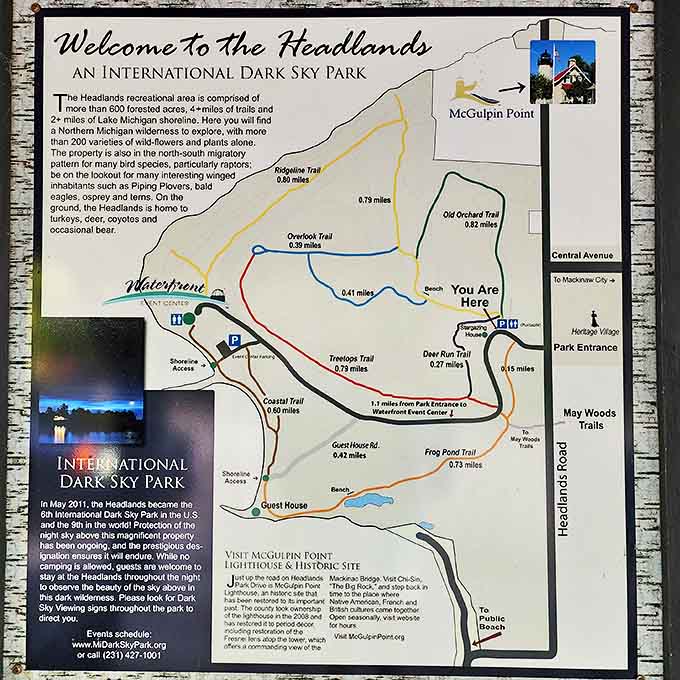 Even getting lost seems impossible with this detailed map &ndash; though sometimes wandering without purpose reveals the best discoveries.