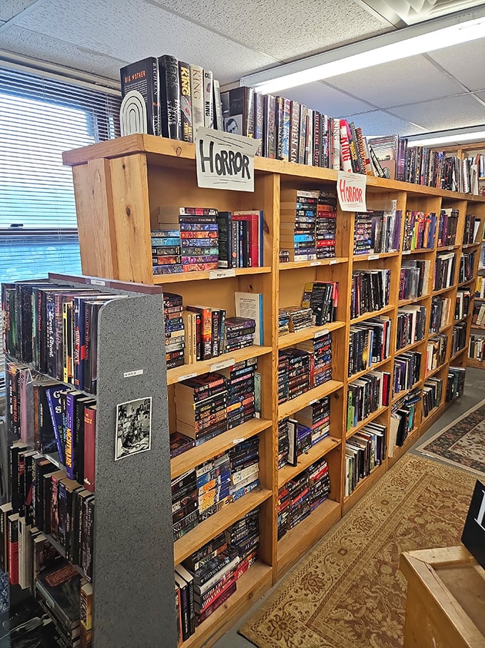 Stephen King would feel right at home browsing these horror shelves, where nightmares are neatly alphabetized for your convenience.
