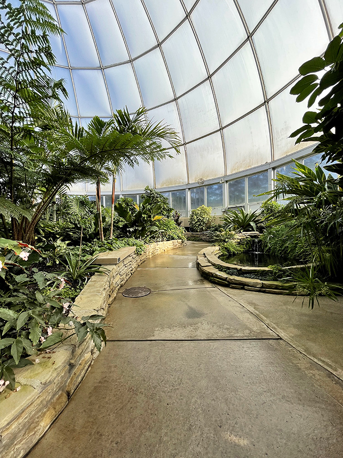 The conservatory's tropical paradise offers a completely different climate experience &ndash; Michigan's answer to a rainforest vacation.