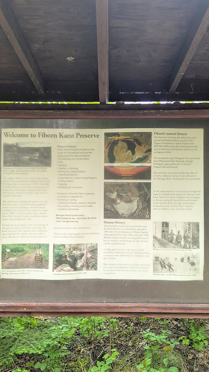 History preserved under glass: The information board reveals Fiborn's fascinating past while forest edges creep ever closer, eager to share their stories too.