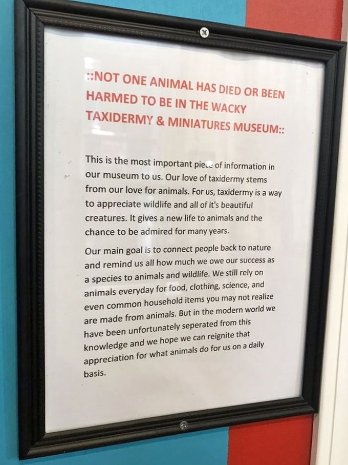 The museum's thoughtful mission statement explains their ethical approach to taxidermy through preservation rather than harm.