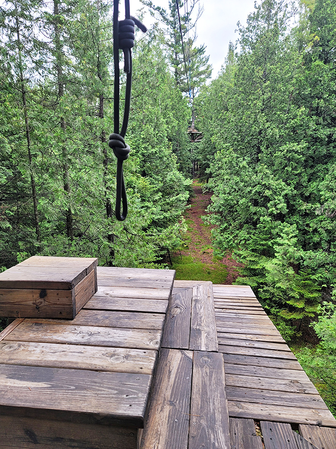 Lakeshore Adventures' zipline platform offers thrilling forest canopy views &ndash; where courage is rewarded with unforgettable perspectives of Wisconsin's wilderness.