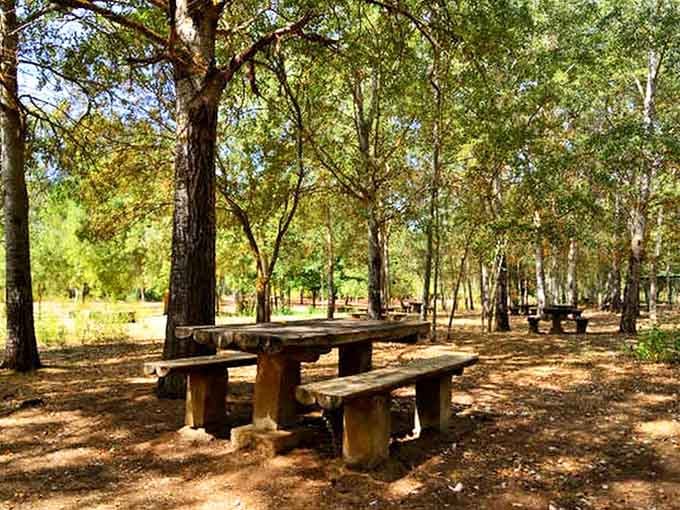 Picnic tables nestled among the trees offer the perfect spot to let your equilibrium recover after the tilted room scrambles your sense of balance.
