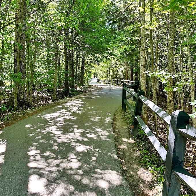 Accessibility meets wilderness on this smooth path, where stroller-pushing grandparents and hiking enthusiasts share equal access to natural wonders.