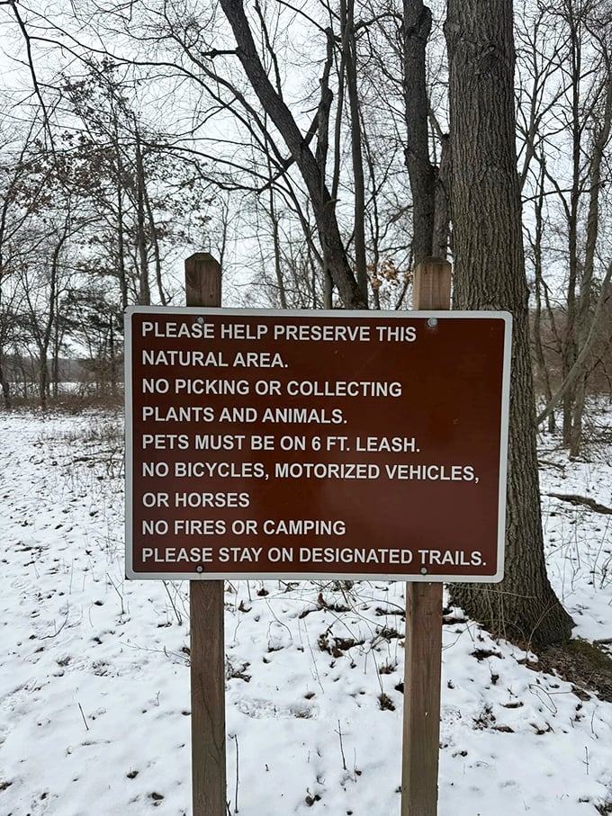 Nature's polite reminder that you're a guest here. The wilderness equivalent of "please wipe your feet and don't touch the art."