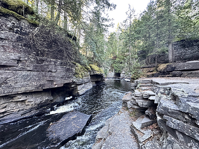 The river carved this gorge with the patience of centuries, creating a miniature Grand Canyon in Michigan's backyard.
