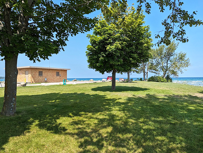 The park's shaded lawn and facilities offer welcome respite from summer sun, proving someone thoughtfully designed this place for maximum enjoyment.
