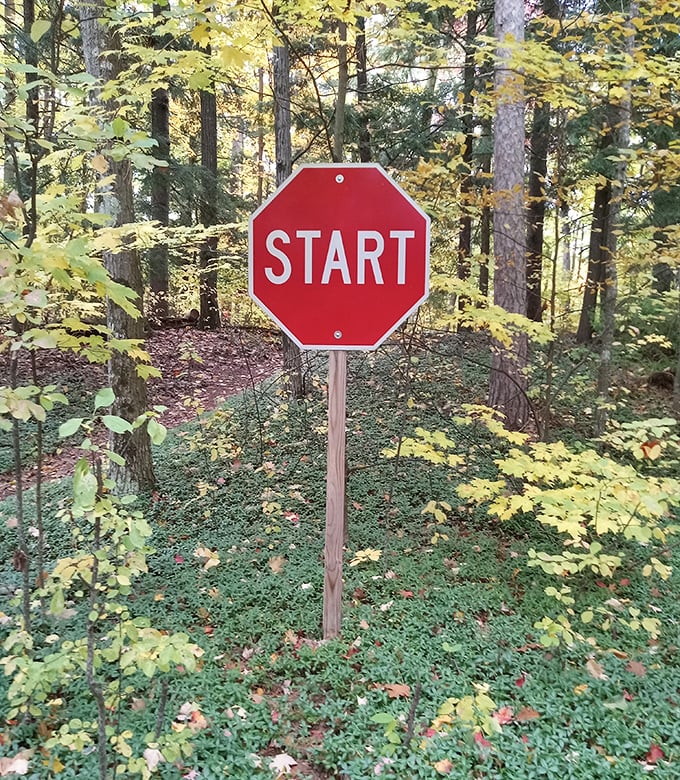The "START" sign transforms a simple directive into a philosophical invitation &ndash; where will this artistic journey take you?