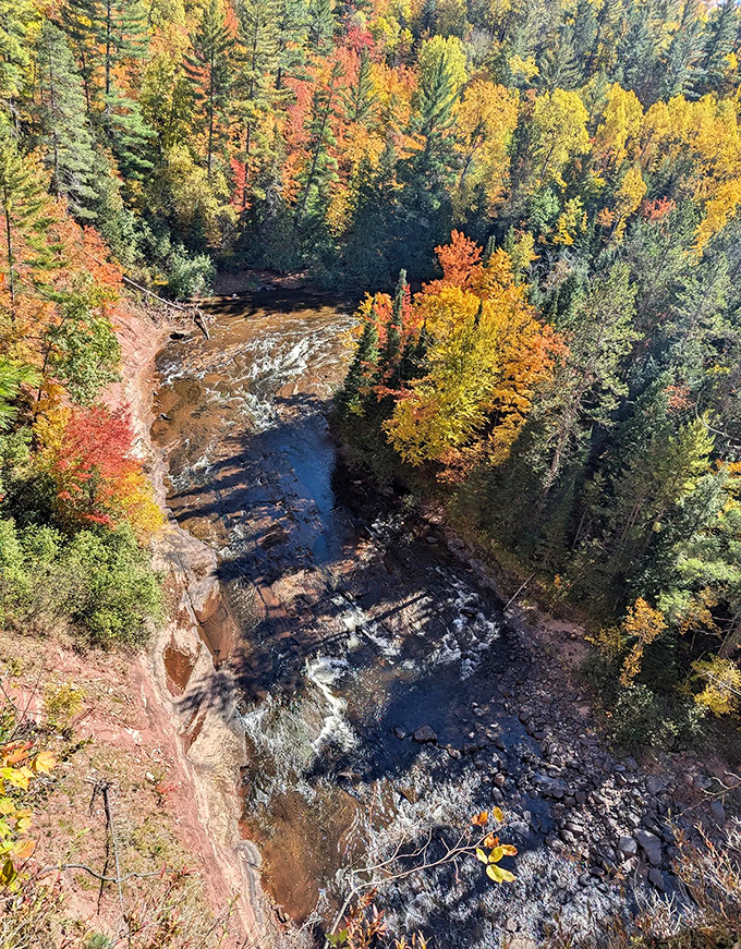 Bird's eye treasure: An aerial view reveals the Sturgeon River cutting its determined path through a tapestry of autumn colors.