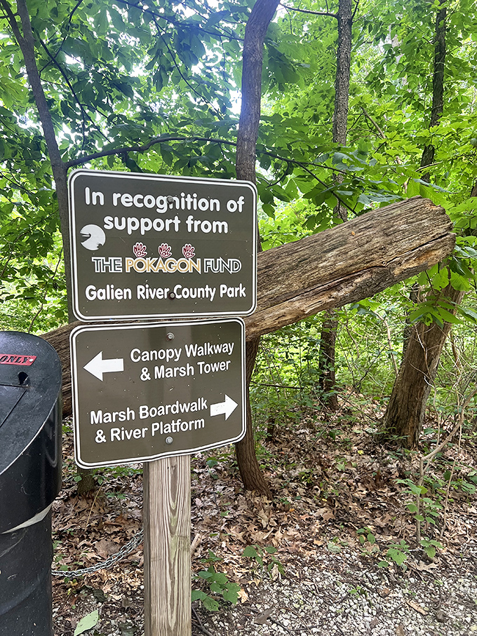 Trail markers point the way to different adventures, because even in nature, it helps to know whether you're heading toward boardwalks or towers.