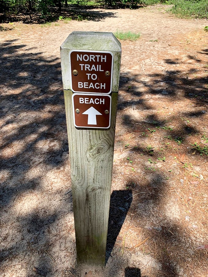 Trail markers stand as silent guides through the wilderness, preventing adventures from becoming misadventures in the dune landscape.