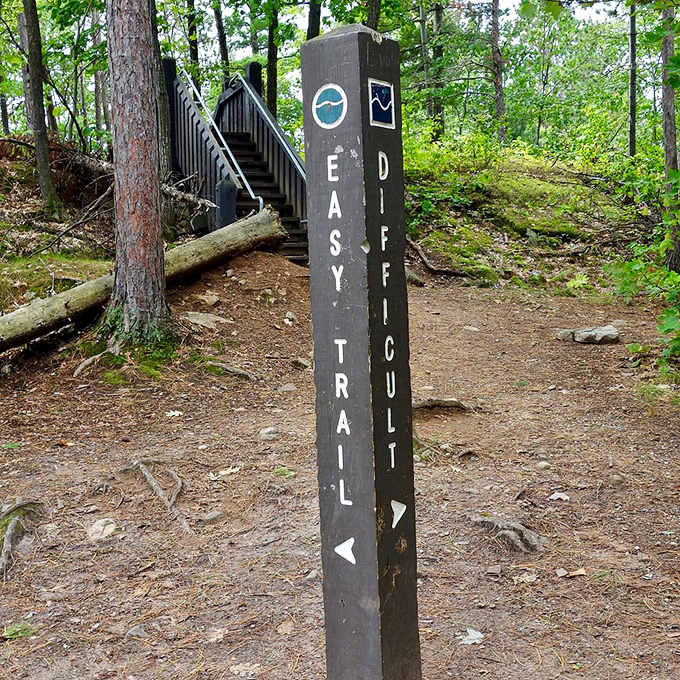 Trail markers: the unsung heroes that prevent your "quick afternoon hike" from becoming an episode of Survivor: Michigan Edition.