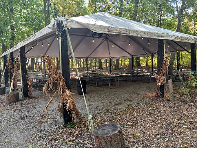 A spacious tent area provides shade and rest for adventurers between climbs &ndash; because even monkeys need breaks.