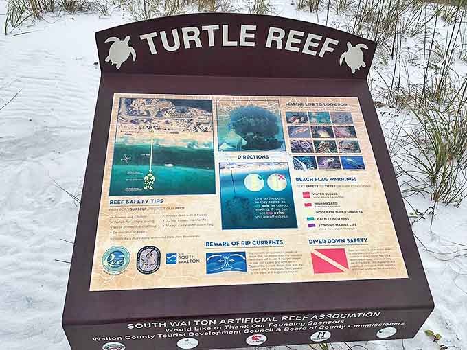 The Turtle Reef information board &ndash; where education meets conservation at one of Florida's most pristine snorkeling spots.