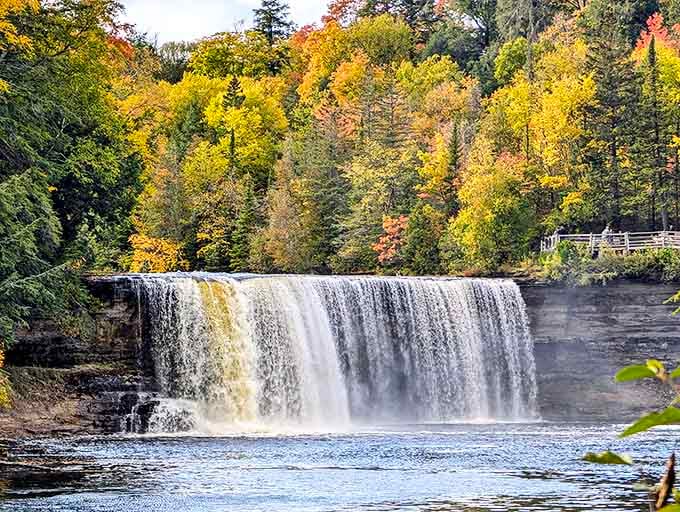 Upper Tahquamenon Falls puts on nature's grandest show, where 50,000 gallons per second create a curtain of amber magnificence that demands reverent silence.
