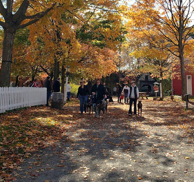 Visitors stroll through autumn splendor, temporarily trading smartphone scrolling for the original kind of scrolling &ndash; with actual feet on actual paths.