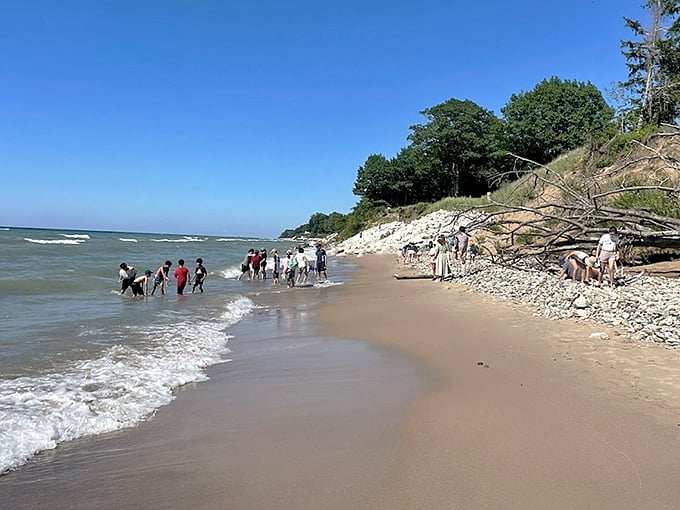 Visitors: Treasure hunters of all ages discover that the best souvenirs don't come from gift shops but from nature's own collection.