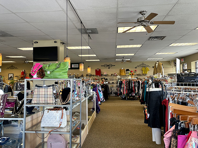 The spacious layout invites leisurely browsing, with treasures waiting to be discovered around every carefully curated corner.