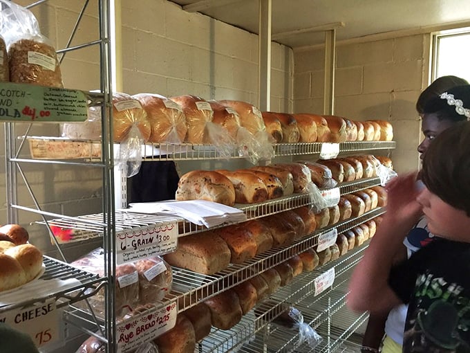 Fresh bread lines the shelves, each loaf representing hours of patient work and generations of baking knowledge.