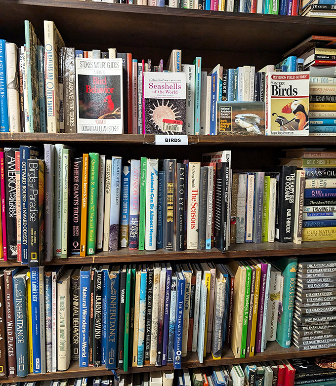 Nature lovers find their own sanctuary among feathered friends, with bird guides and environmental texts nesting together on well-organized shelves.