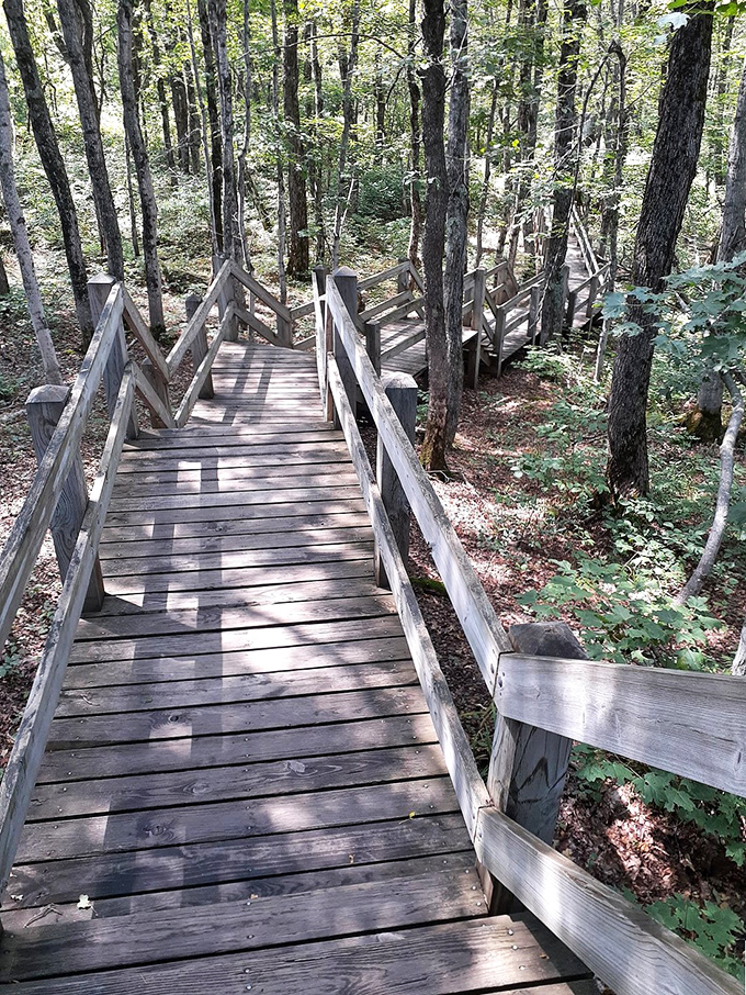 These wooden stairs zigzag through the forest like something from a fairy tale, each step revealing new wonders of the woodland.