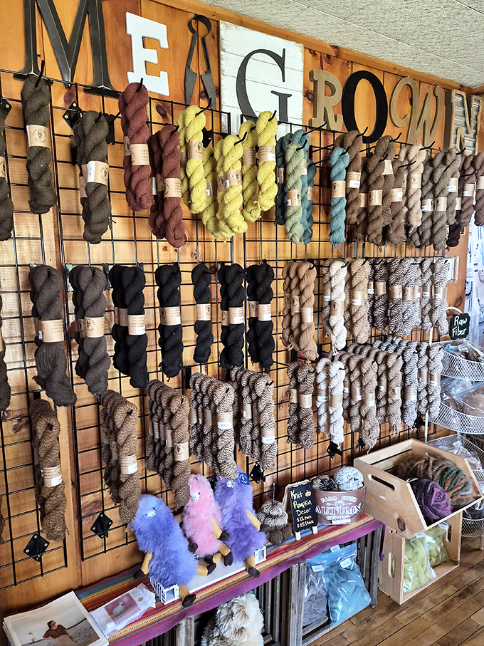 A rainbow of natural and dyed alpaca yarns tempts fiber artists with possibilities limited only by imagination.