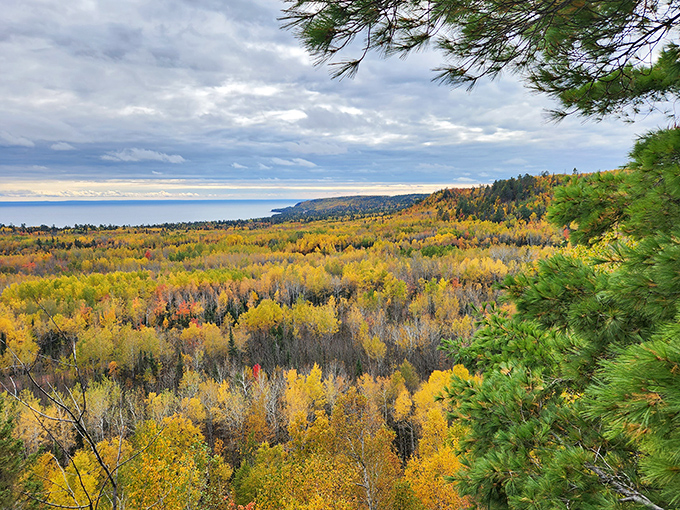 Fall foliage creates a tapestry of gold and crimson against Lake Superior's blue horizon, nature's most spectacular color combination show.
