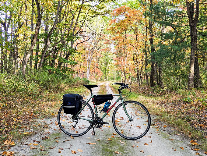 A trusty bicycle waits patiently on autumn's golden carpet, ready to carry its rider through nature's most spectacular show.