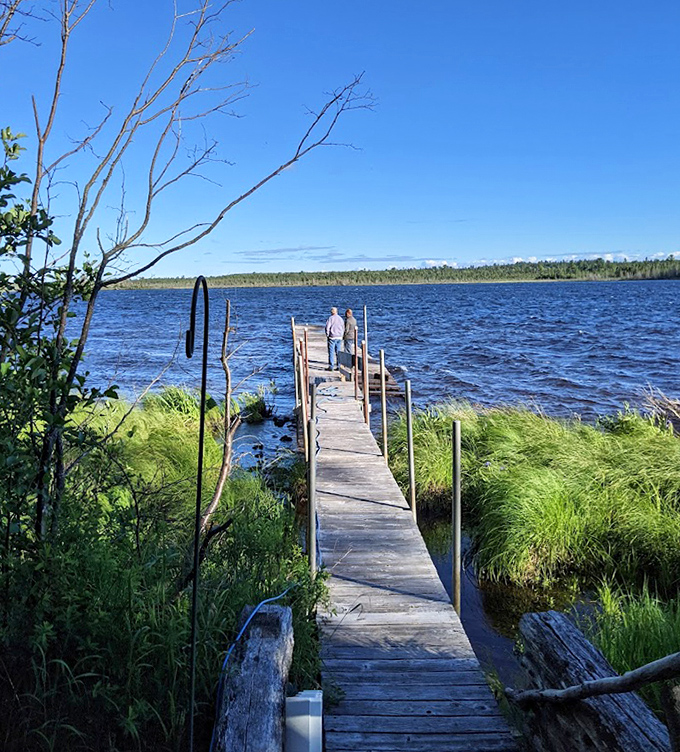 A simple wooden boardwalk invites contemplation while keeping your shoes dry &ndash; practical magic at its finest.