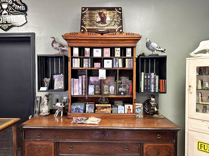 Leather-bound books on occult subjects and forgotten sciences await curious readers seeking unusual knowledge.