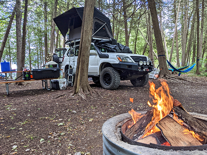 Camping doesn't get more perfect than this &ndash; where forest meets fire in a dance as old as humanity itself.