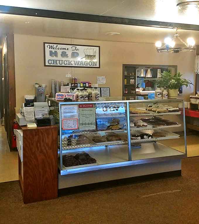 Welcome to donut paradise! The counter where sweet dreams come true and difficult decisions must be made.