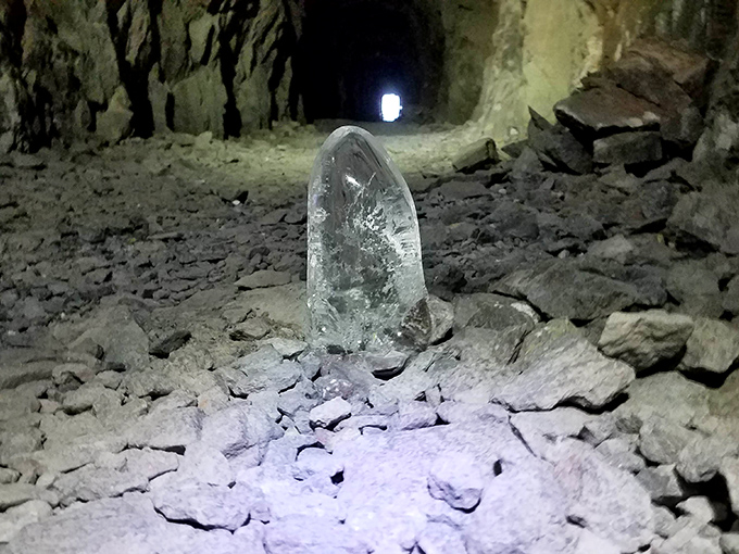 Nature's artwork on display &ndash; this crystal formation survived centuries of darkness to catch the light of visitors' lamps.