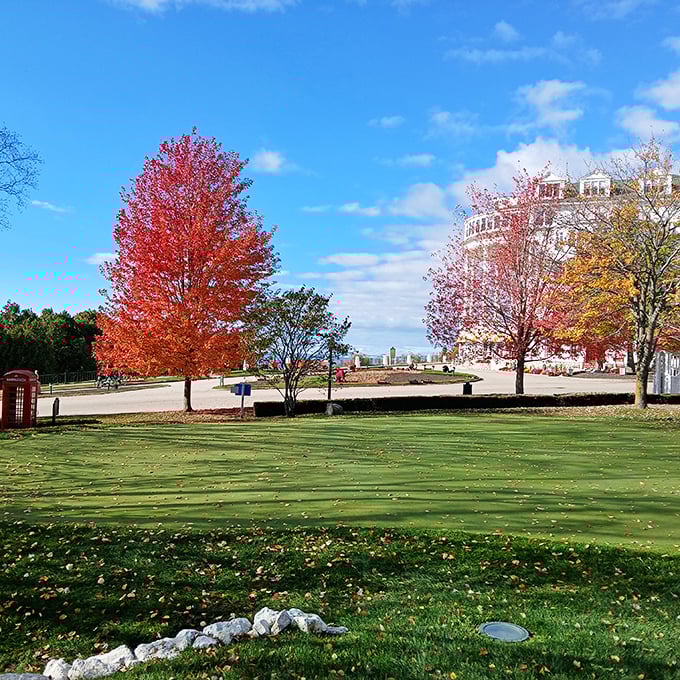 Fall transforms the Grand Hotel grounds into a painter's palette of warm hues, proving Michigan's autumn beauty extends beyond just maple trees.