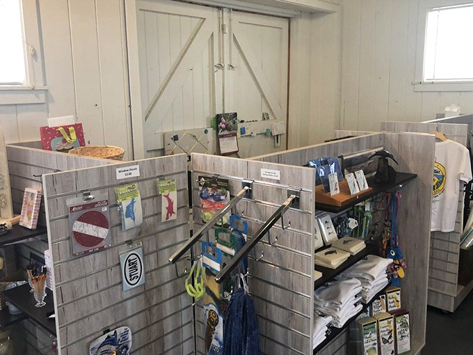 The gift shop offers thoughtfully curated maritime souvenirs, with proceeds supporting preservation of this unique piece of Florida's coastal history.