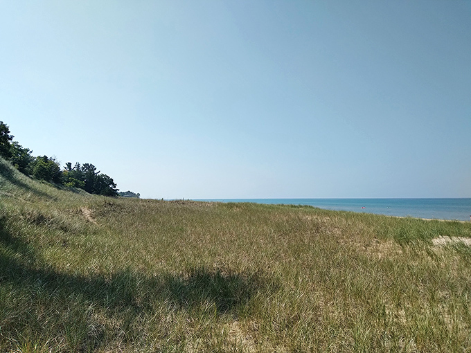 Coastal prairie meets great lake: Windswept grasses frame the distant blue waters, creating a landscape painting come to life.