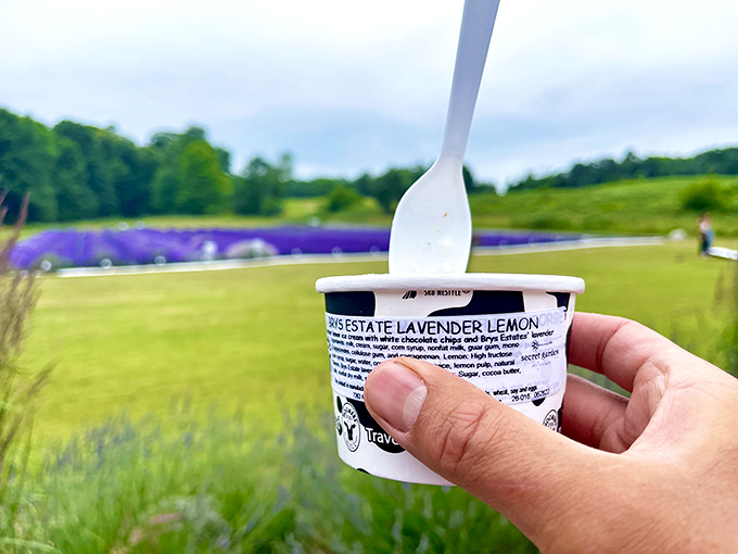 Lavender lemon ice cream: Where Michigan dairy meets garden inspiration, creating a flavor that makes taste buds reconsider their life choices.
