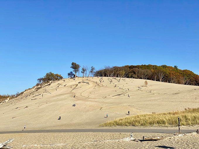 Nature's playground &ndash; these massive dunes become the Midwest's most thrilling slides for the young and young-at-heart.