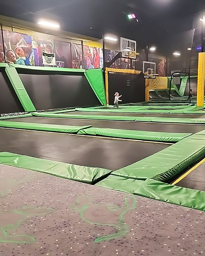 The main trampoline courts host everything from casual bouncers to aspiring acrobats attempting moves their insurance wouldn't approve of.