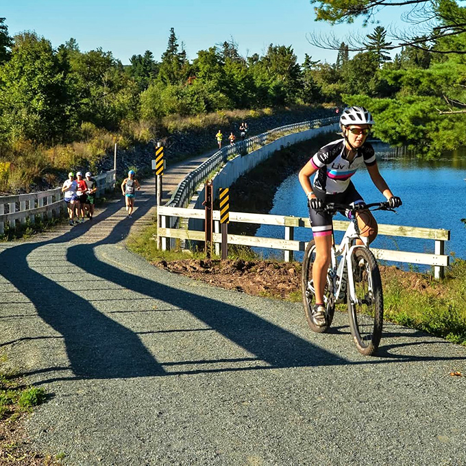 Cyclists navigate a sun-dappled curve, where shadows play across the path like nature's own abstract painting in constant motion.