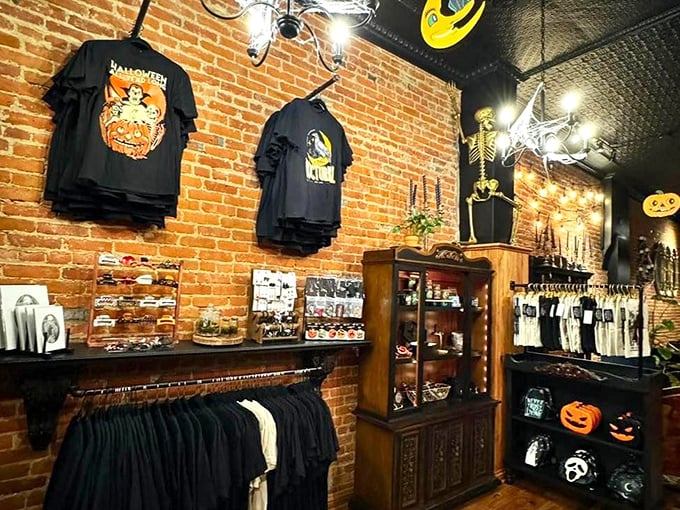 The retail section offers carefully curated merchandise that extends the Nocturnal experience beyond your visit.