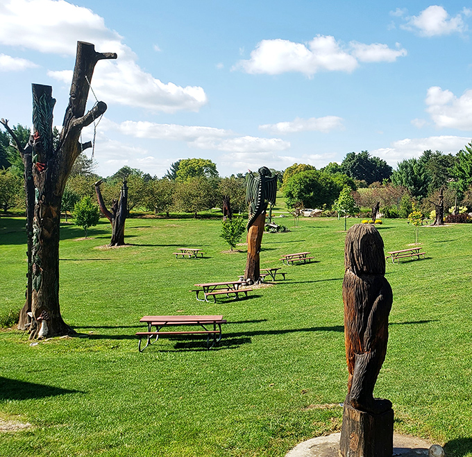 Picnic tables scattered throughout the grounds invite visitors to linger longer, turning a quick visit into a day-long woodland retreat.
