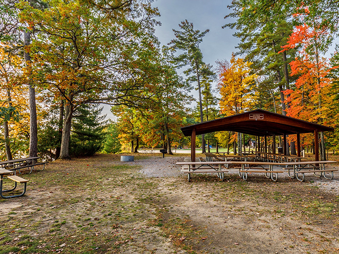Picnic tables under a rustic shelter offer the perfect spot for alfresco dining. Even sandwiches taste better with a view!