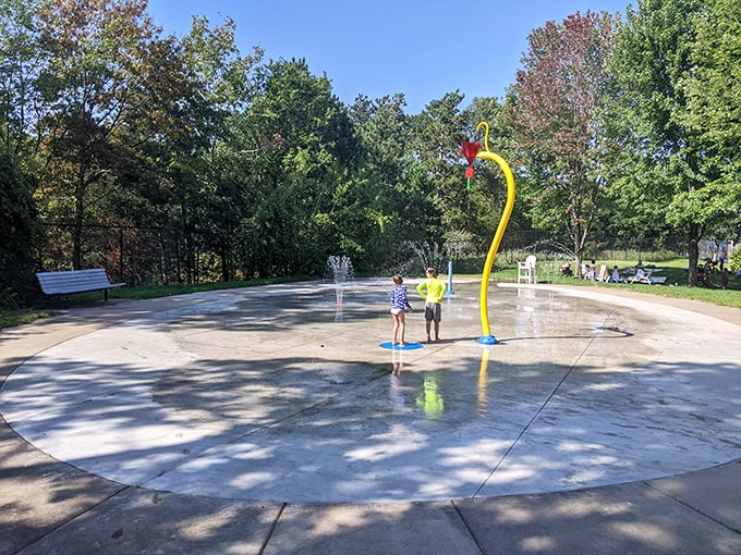 The splash pad creates a zero-depth wonderland where tiny adventurers can safely experience water fun without deep-end worries.
