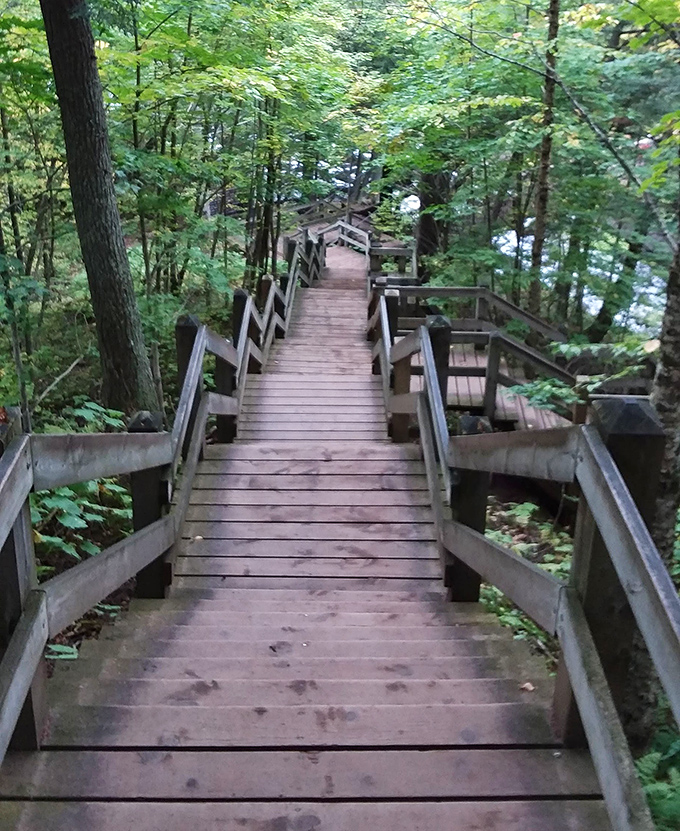 These wooden steps invite adventure while promising spectacular rewards for those willing to navigate their zigzagging path.