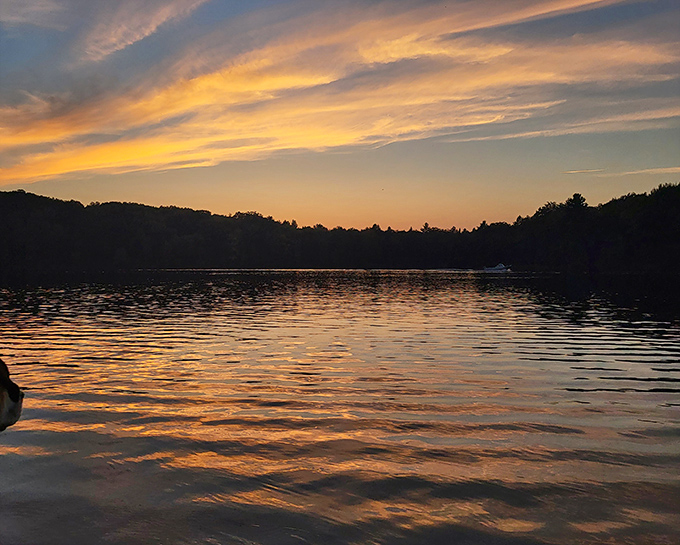 Sunset transforms the lake into liquid gold, creating the kind of moment that makes you forget about deadlines, emails, and whether you left the oven on.