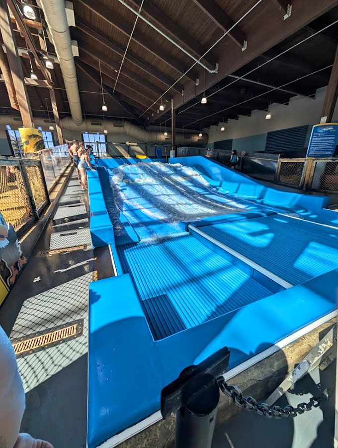 Catching waves without shark worries &ndash; the surf simulator offers thrills, spills, and the rare opportunity to wipe out spectacularly in front of a supportive audience.